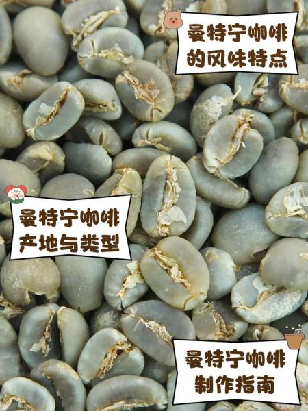 曼特宁咖啡怎么冲泡_曼特宁咖啡口感特点-第3张图片-山城妙识