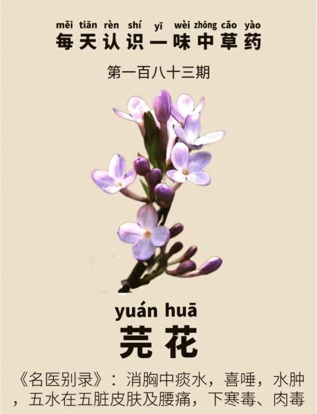 芫花的功效与作用及禁忌_芫花泡水喝的副作用-第2张图片-山城妙识