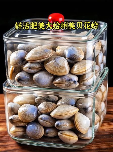 油蛤和花蛤哪个更营养_油蛤和花蛤的区别-第2张图片-山城妙识