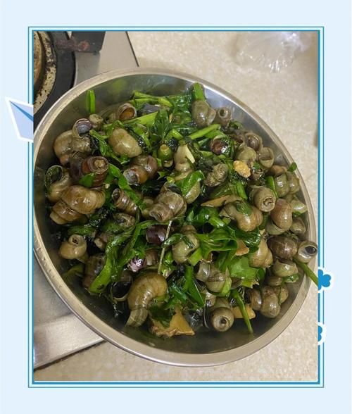 夜市炒田螺怎么做_炒田螺要不要焯水-第3张图片-山城妙识