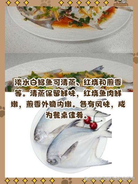 淡水白鲳鱼多少钱一斤_淡水白鲳鱼价格行情-第1张图片-山城妙识 淡水白鲳鱼多少钱一斤_淡水白鲳鱼价格行情-第1张图片-山城妙识