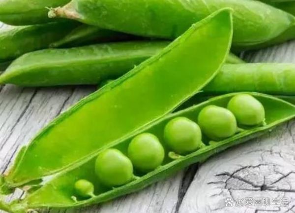 素炒青豌豆怎么做_青豌豆要不要焯水-第3张图片-山城妙识