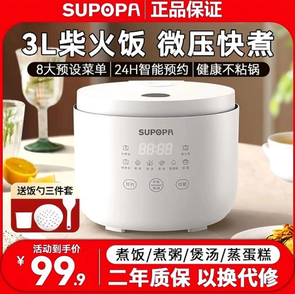 小型电饭煲二人用哪个牌子好_适合情侣的迷你饭煲推荐-第2张图片-山城妙识