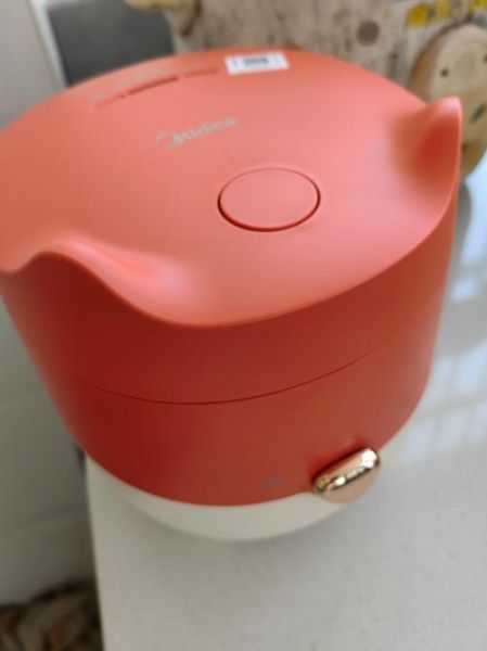 小型电饭煲二人用哪个牌子好_适合情侣的迷你饭煲推荐-第1张图片-山城妙识