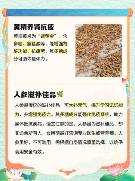 补肾食物排名_哪些食物补肾效果最好-第2张图片-山城妙识