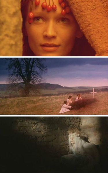 野花电影免费高清完整版哪里看_野花电影剧情讲了什么-第1张图片-山城妙识