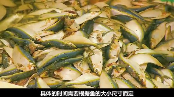 沙丁鱼罐头怎么做_家庭自制沙丁鱼罐头方法-第3张图片-山城妙识