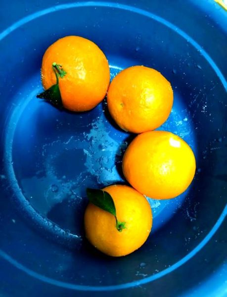 盐蒸橙子什么时候吃效果好_空腹还是饭后-第1张图片-山城妙识