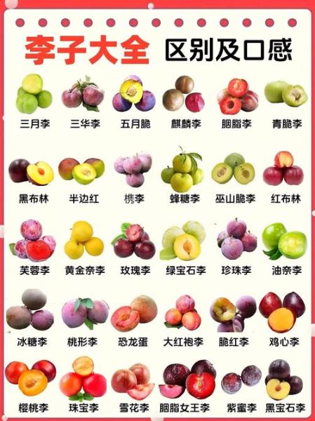 水果名称大全列表_哪些水果名字最冷门-第1张图片-山城妙识 水果名称大全列表_哪些水果名字最冷门-第1张图片-山城妙识