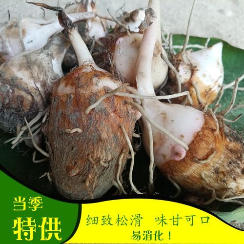 红芽芋头热量高吗_红芽芋头的功效与作用-第3张图片-山城妙识 红芽芋头热量高吗_红芽芋头的功效与作用-第3张图片-山城妙识