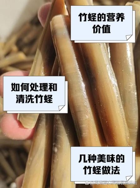 竹节蛏的营养价值_竹节蛏适合什么人吃-第2张图片-山城妙识 竹节蛏的营养价值_竹节蛏适合什么人吃-第2张图片-山城妙识