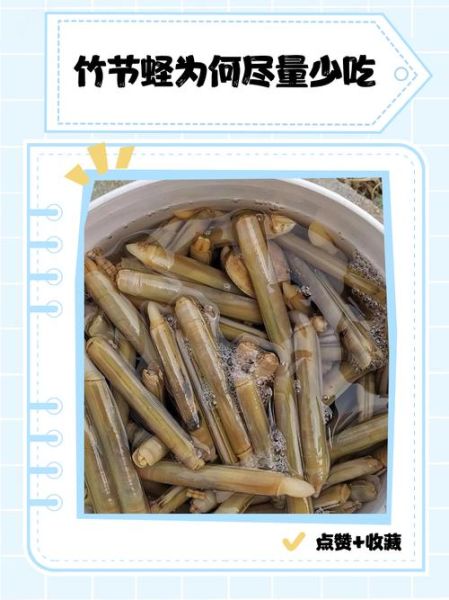 竹节蛏的营养价值_竹节蛏适合什么人吃-第1张图片-山城妙识 竹节蛏的营养价值_竹节蛏适合什么人吃-第1张图片-山城妙识