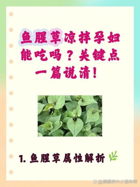 鱼腥草孕妇可以吃吗_孕妇吃鱼腥草禁忌-第1张图片-山城妙识 鱼腥草孕妇可以吃吗_孕妇吃鱼腥草禁忌-第1张图片-山城妙识