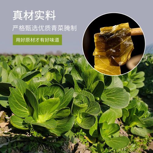 四川腌白菜怎么腌制_四川腌白菜腌制方法-第1张图片-山城妙识