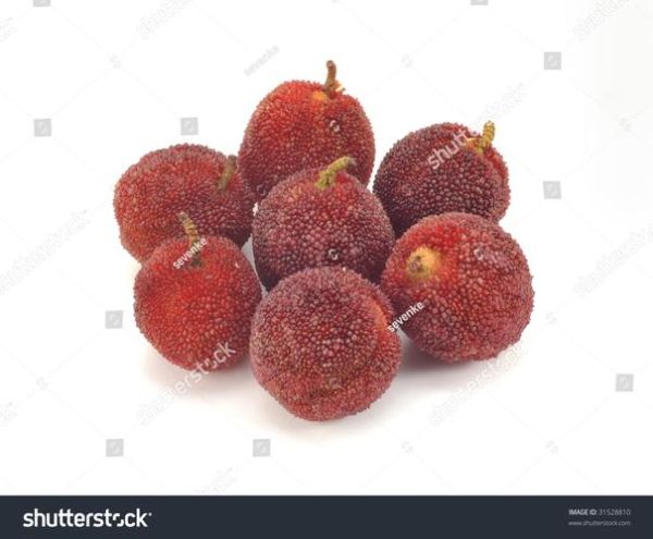 waxberry怎么读_waxberry中文意思是什么-第1张图片-山城妙识 waxberry怎么读_waxberry中文意思是什么-第1张图片-山城妙识