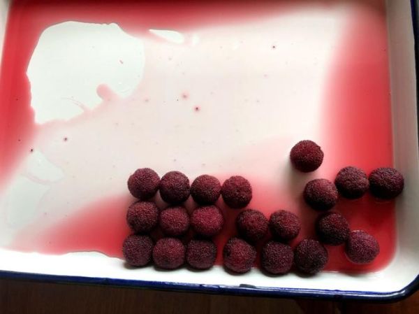 waxberry怎么读_waxberry中文意思是什么-第3张图片-山城妙识 waxberry怎么读_waxberry中文意思是什么-第3张图片-山城妙识