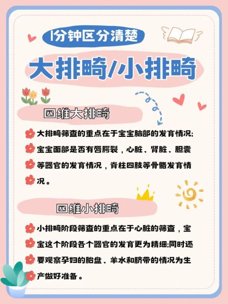 大排畸和小排畸检查区别_什么时候做最合适-第1张图片-山城妙识 大排畸和小排畸检查区别_什么时候做最合适-第1张图片-山城妙识