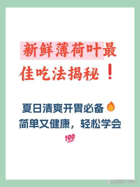 新鲜薄荷叶怎么吃_薄荷叶食用方法大全-第3张图片-山城妙识