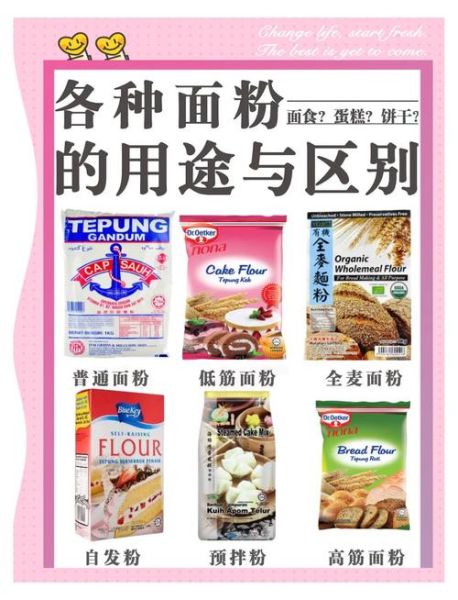 小麦粉和面粉哪个好_小麦粉和面粉的区别-第3张图片-山城妙识