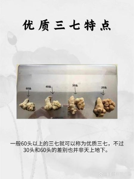 三七图片长什么样_三七真假怎么辨别-第3张图片-山城妙识