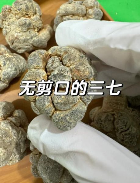 三七图片长什么样_三七真假怎么辨别-第2张图片-山城妙识