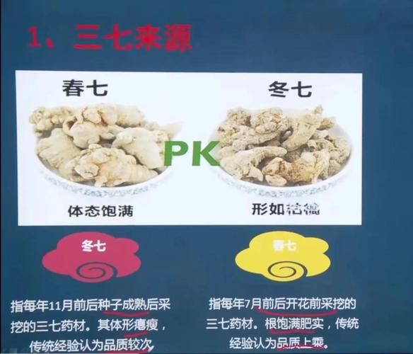 三七图片长什么样_三七真假怎么辨别-第1张图片-山城妙识