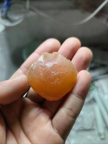 100斤青鱼石多少钱一克_青鱼石价格怎么算-第1张图片-山城妙识 100斤青鱼石多少钱一克_青鱼石价格怎么算-第1张图片-山城妙识