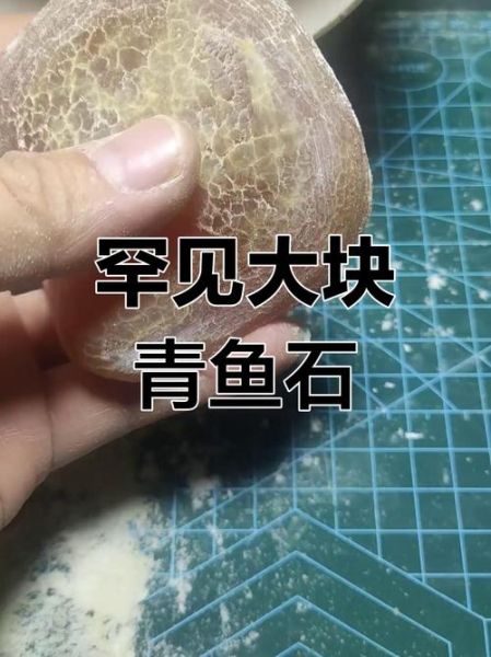 100斤青鱼石多少钱一克_青鱼石价格怎么算-第3张图片-山城妙识 100斤青鱼石多少钱一克_青鱼石价格怎么算-第3张图片-山城妙识