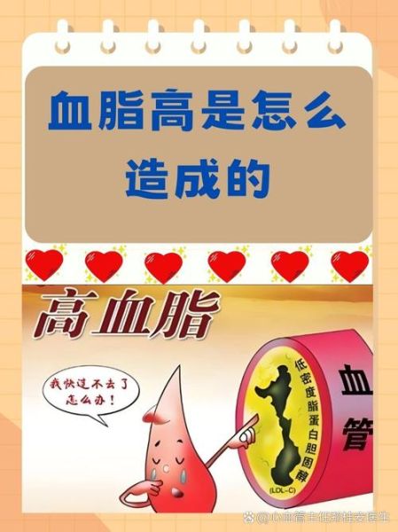 血脂高是什么原因引起的_血脂高怎么降下来-第1张图片-山城妙识 血脂高是什么原因引起的_血脂高怎么降下来-第1张图片-山城妙识
