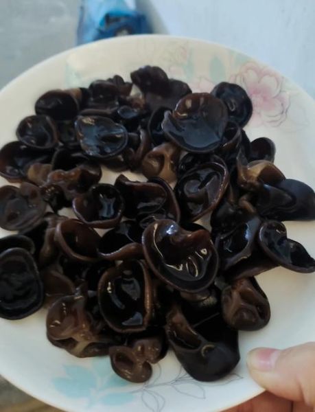 木耳泡多久可以吃_木耳泡久了有毒吗-第3张图片-山城妙识