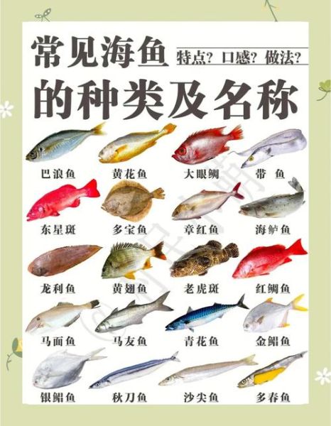 海货大全图片有哪些种类_如何辨别新鲜海货-第2张图片-山城妙识