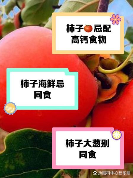 柿子怎么保存不会烂_柿子不能和什么一起吃-第3张图片-山城妙识