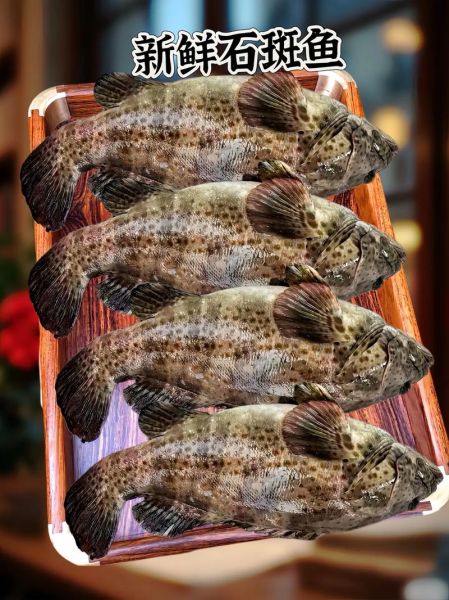 清蒸石斑鱼怎么蒸不腥_清蒸石斑鱼家常做法步骤-第2张图片-山城妙识