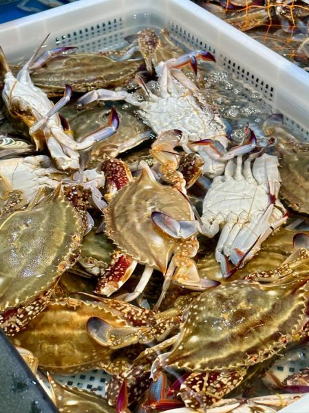 冷冻梭子蟹多少钱一斤_冷冻梭子蟹价格走势-第3张图片-山城妙识