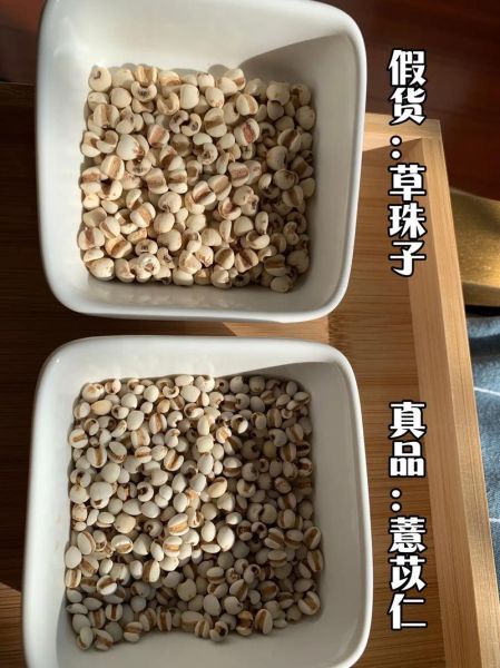 野生薏米长什么样_如何辨别真假-第1张图片-山城妙识