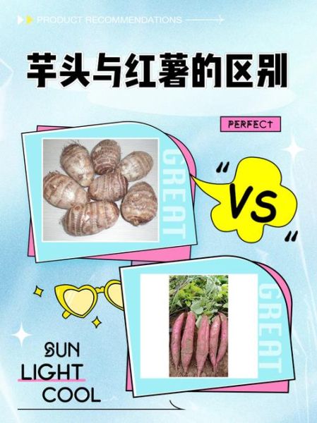 山芋和红薯的区别_山芋和红薯哪个更健康-第2张图片-山城妙识