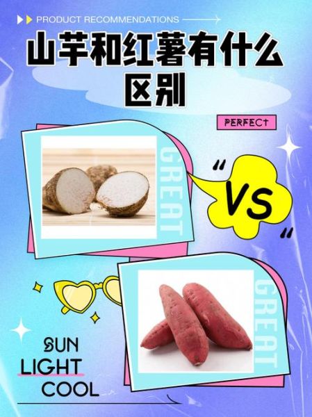 山芋和红薯的区别_山芋和红薯哪个更健康-第1张图片-山城妙识