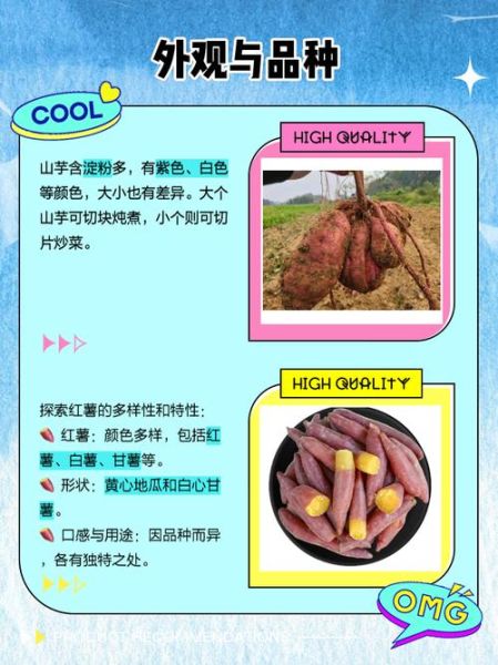 山芋和红薯的区别_山芋和红薯哪个更健康-第3张图片-山城妙识