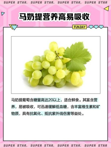 马奶提葡萄的功效与作用_马奶提葡萄多少钱一斤-第1张图片-山城妙识