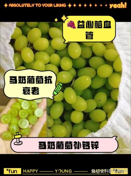 马奶提葡萄的功效与作用_马奶提葡萄多少钱一斤-第3张图片-山城妙识