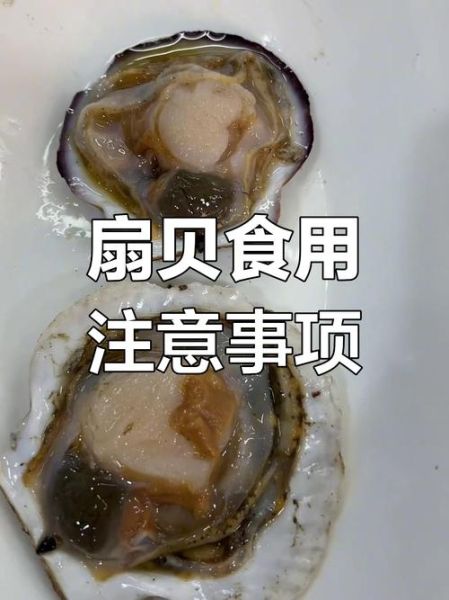 扇贝哪些部位不能吃_怎么处理才安全-第1张图片-山城妙识