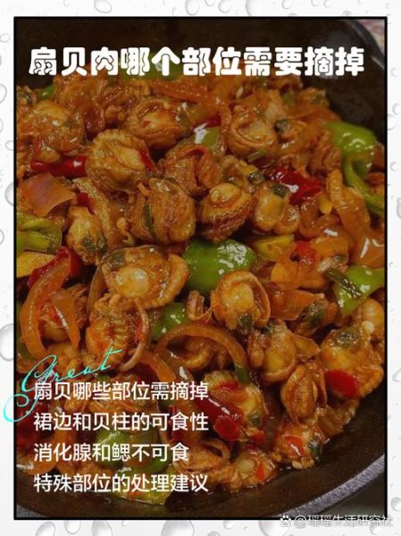 扇贝哪些部位不能吃_怎么处理才安全-第3张图片-山城妙识