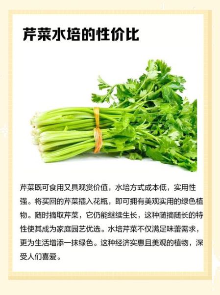 芹菜要不要焯水_焯水后营养会流失吗-第2张图片-山城妙识