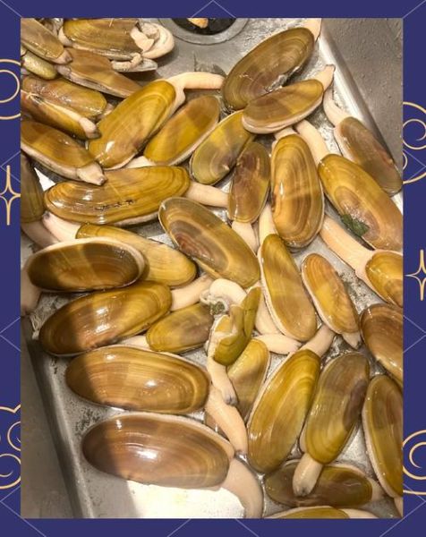 蚬子怎么读_蚬子读音是什么-第3张图片-山城妙识