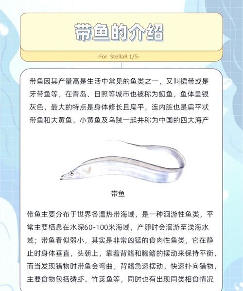 带鱼是海鱼吗_带鱼属于深海还是近海-第1张图片-山城妙识