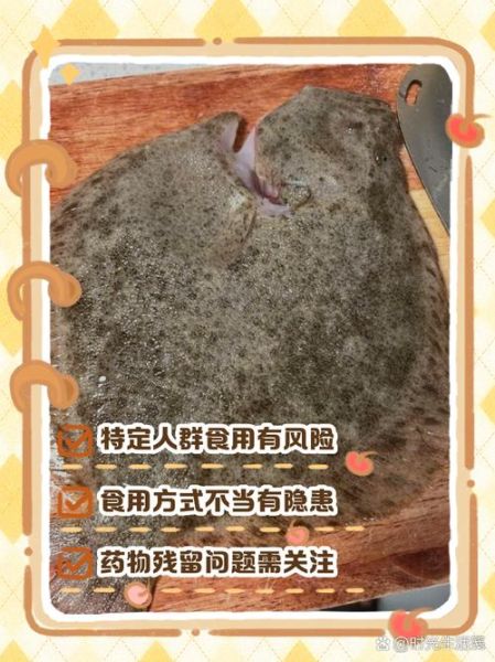 多宝鱼吃多了有什么危害_多宝鱼重金属超标吗-第1张图片-山城妙识 多宝鱼吃多了有什么危害_多宝鱼重金属超标吗-第1张图片-山城妙识