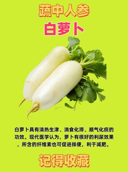 萝卜的功效与作用_萝卜怎么吃最健康-第2张图片-山城妙识