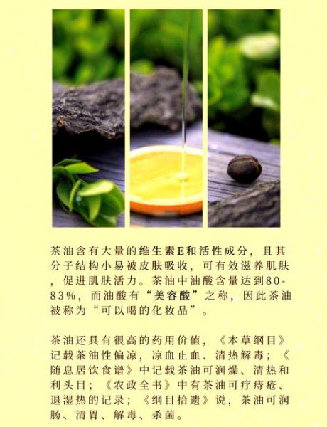 山茶油的功效与作用价格_多少钱一斤-第1张图片-山城妙识