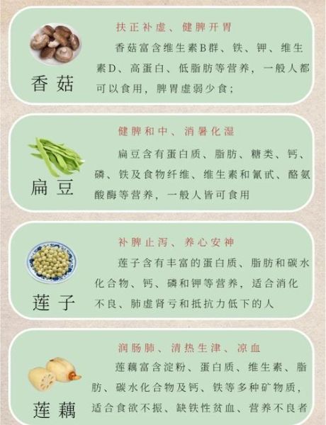 健脾养胃的食物有哪些_怎么吃效果最好-第3张图片-山城妙识