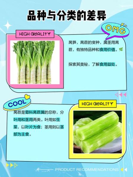 青笋和莴笋一样吗_青笋与莴笋的区别-第3张图片-山城妙识